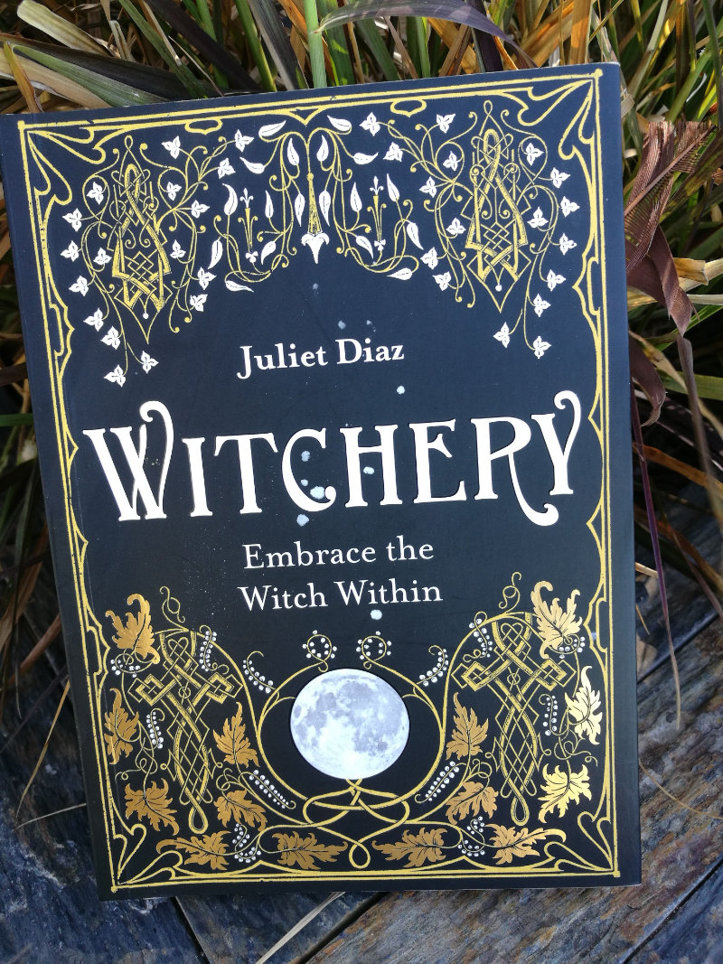 Here are some witchy books I'm reading right now or have on my wish list